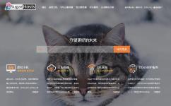 SugarHosts香港VPS怎么样测评介绍 - 原生IP - 无限流量 - VPS234主机测评